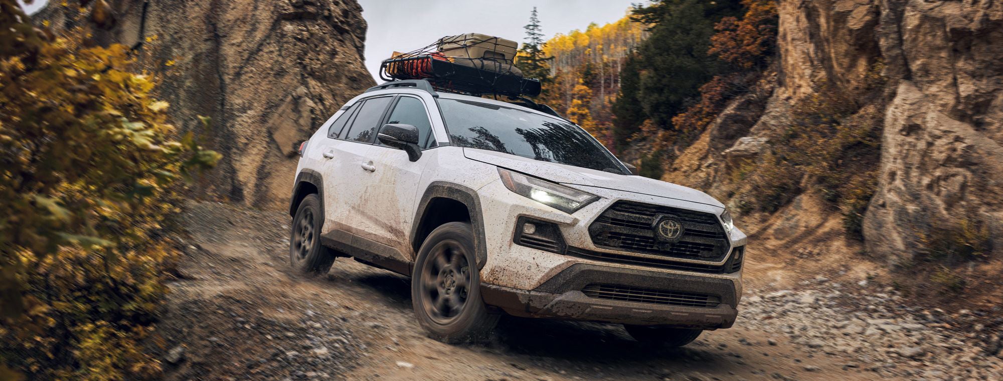 Toyota Dealer in Littleton MA Near Acton and Westford | Acton Toyota of ...